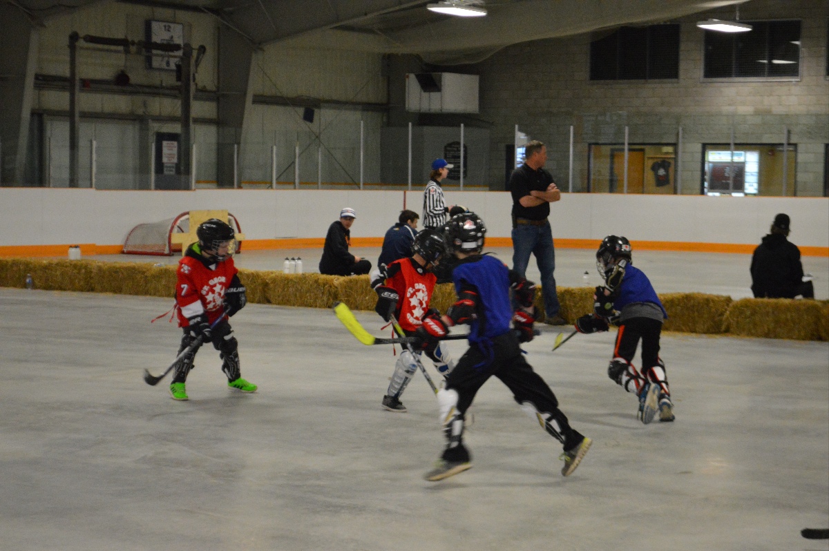 Galleries > Colour House 2016 (St. George Minor Hockey)